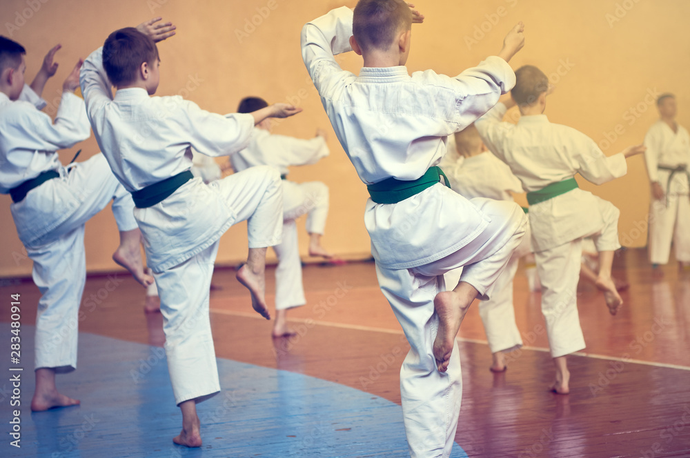 Karate – Shinka Do Kan